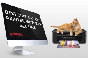 Best Cute Cat and Office Printer Videos Of All Time! | Cash4Toners
